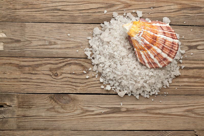 Sea Salt and Shell on a Wood Stock Photo - Image of abundance, shaker ...