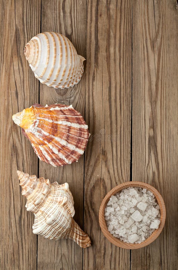 Sea Salt and Shell on a Wood Stock Photo - Image of salt, wood: 74696434