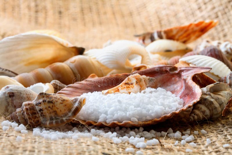 Sea salt and shells stock photo. Image of skin, arranged - 30534096