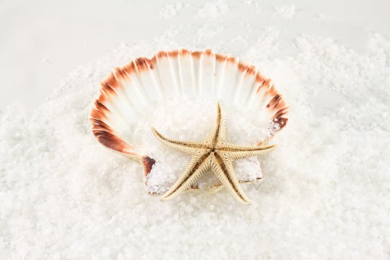 Sea Salt, Shells and Starfish Stock Image - Image of natural ...