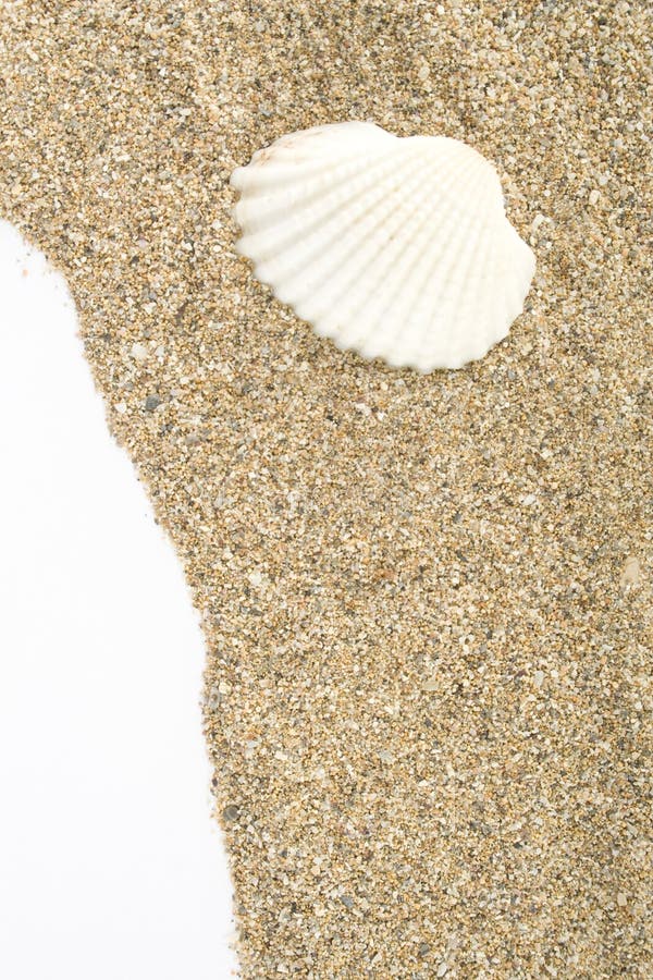Sea sand stock photo. Image of close, seamless, grained - 14263360