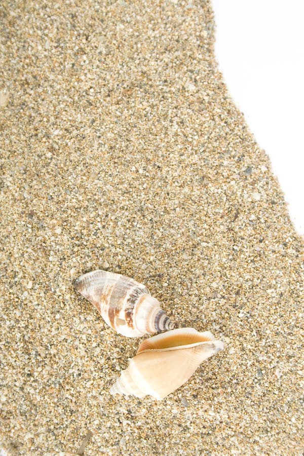 Sea sand stock image. Image of beach, sparse, beige, isolated - 14263411