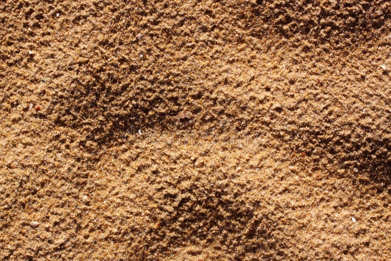 Sea Sand Picture. Image: 8903596