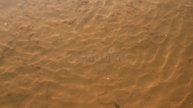 Sea Sand Bottom through the Transparent Seawater Stock Footage - Video ...