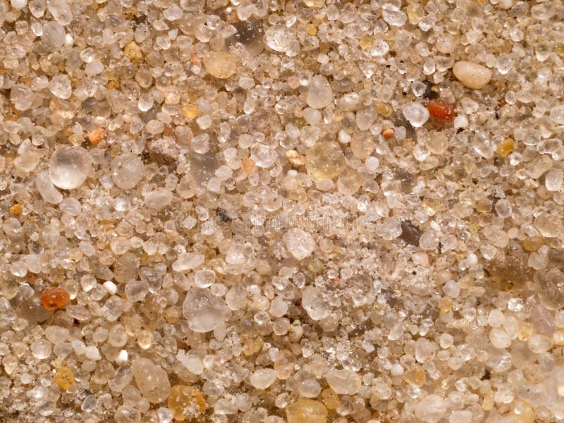 Sea sand close up stock image. Image of desert, texture - 289950051