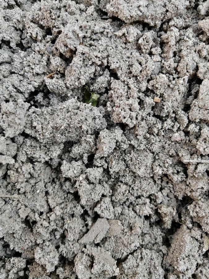 Sea sand inside the water stock photo. Image of insane - 172623938