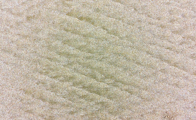 Wet Sand Surface for Construction, Close View Stock Image - Image of ...