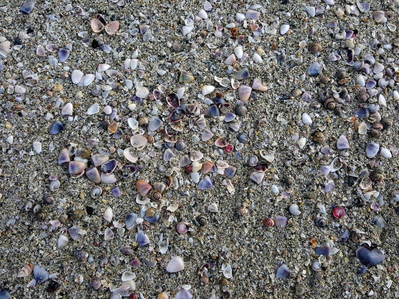 Sea Sand Texture on the Beach. Stock Photo - Image of nature, mineral ...