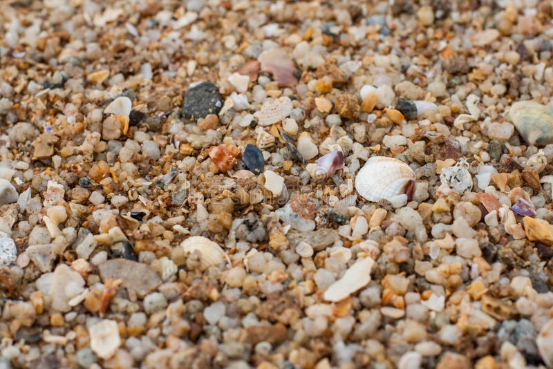 Sea Sand Texture Made of Shell and Stone Pieces. Stock Image - Image of ...
