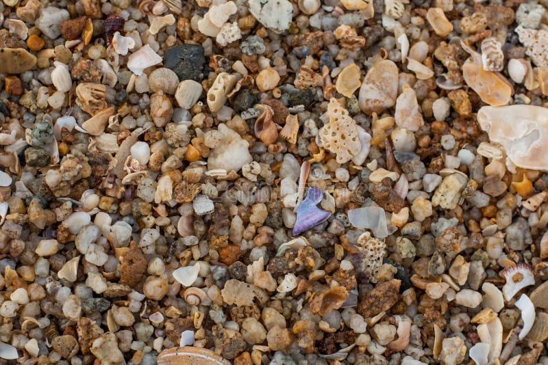Sea Sand Texture Made of Shell and Stone Pieces. Stock Photo - Image of ...