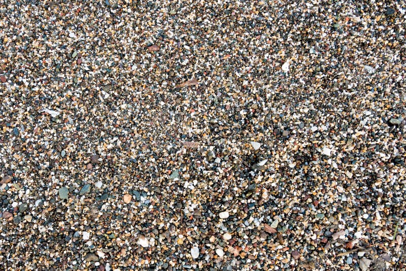 Sea Sand Texture Made of Shell and Stone Pieces. Stock Photo - Image of ...