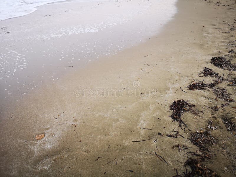 Sea and Sand Textures Background Stock Photo - Image of sand, mudflat ...