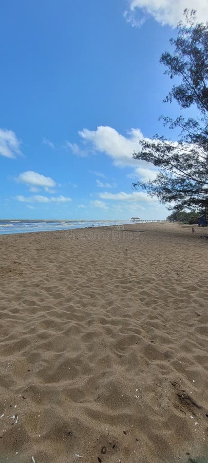 Sea Sand Tree Cloud at Beach Stock Image - Image of tree, beach: 294391291