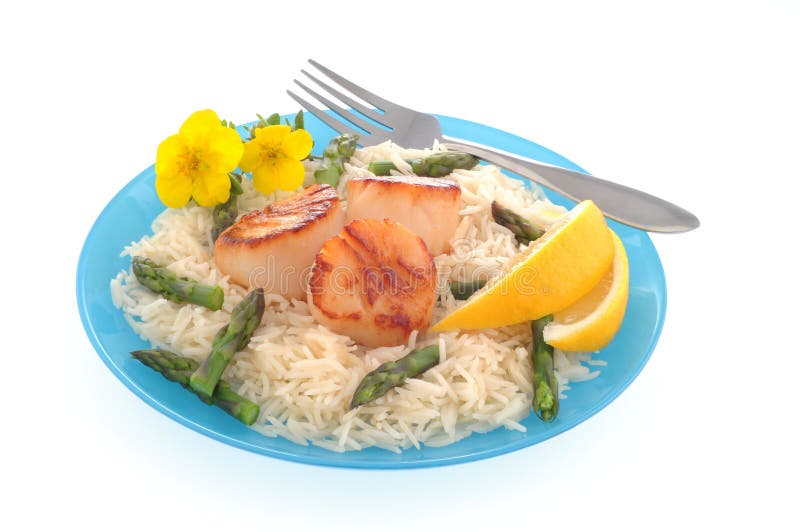 Sea Scallops and Rice stock image. Image of lunch, dinner - 5860745