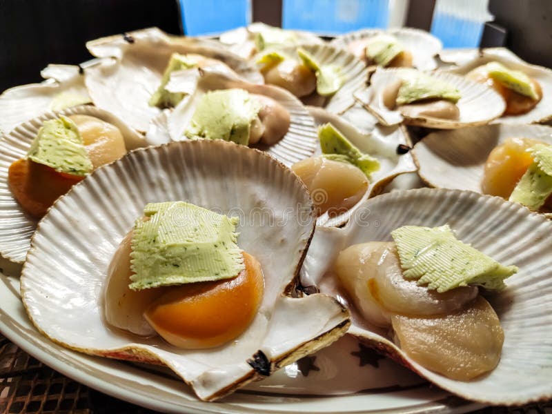 Sea Scallops in Shells are Grilled on the Grill Stock Photo - Image of ...