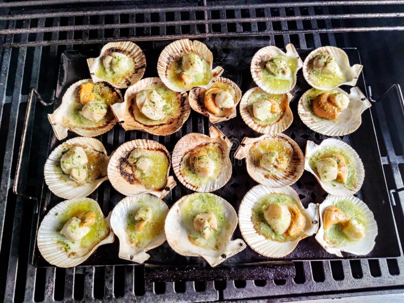 Sea Scallops in Shells are Grilled on the Grill Stock Photo - Image of ...