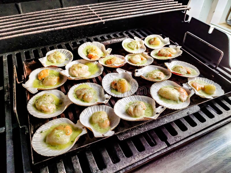 Sea Scallops in Shells are Grilled on the Grill Stock Photo - Image of ...