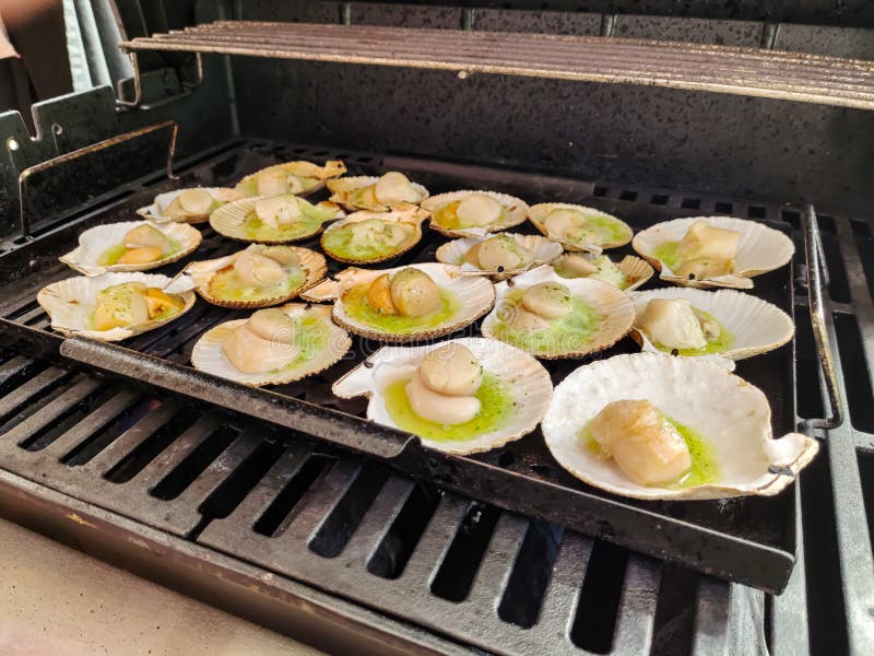 Sea Scallops in Shells are Grilled on the Grill Stock Image - Image of ...