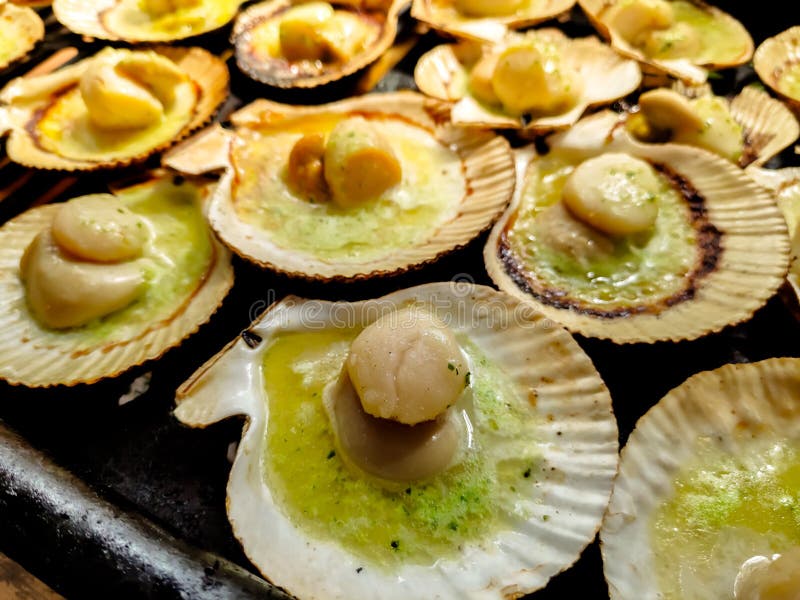 Sea Scallops in Shells are Grilled on the Grill Stock Image - Image of ...