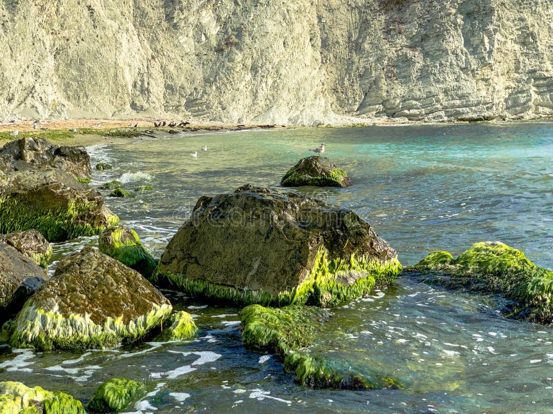 Sea scenery stock image. Image of scenery, deserted - 209923347