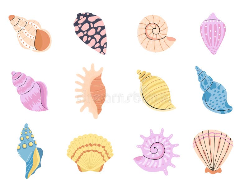 Sea Schell, Conches of Sea Snail Vector.Colorful Shell, Ocean Conch ...