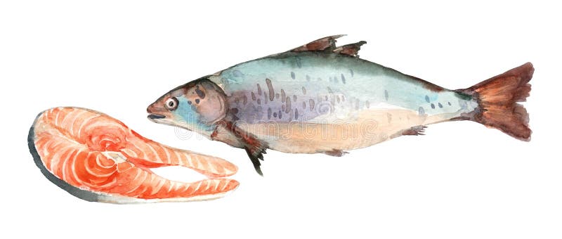 Sea Set. Salmon Steak and Red Fish Stock Photo - Image of fishing ...