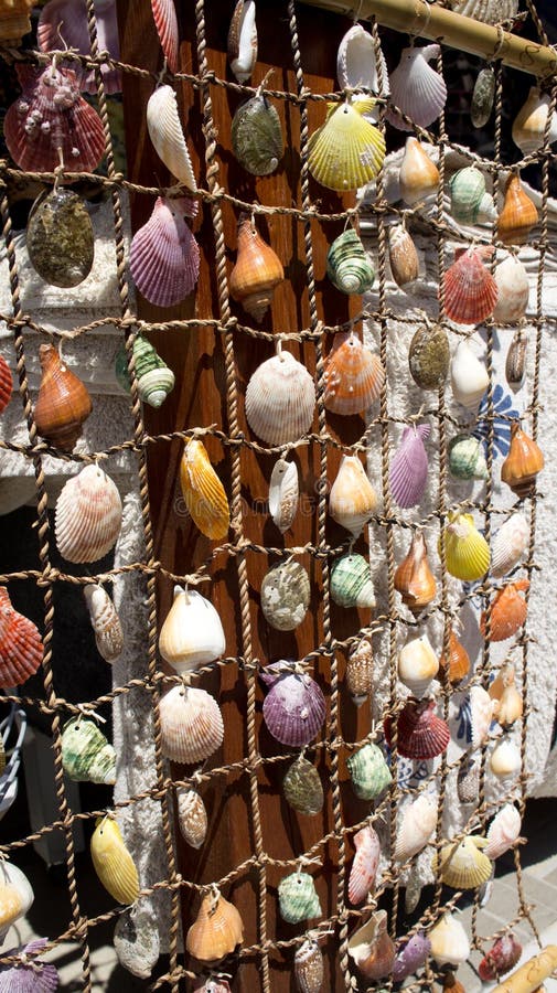 Curved Seashell Picture. Image: 5422511