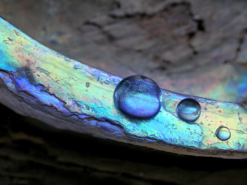 Sea Shell stock image. Image of mollusk, sheen, curve, water - 707847