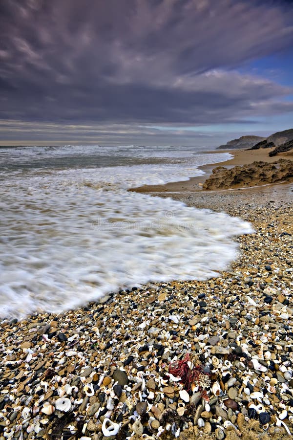 Sea Shell Bay stock photo. Image of shells, wave, beach - 12366152