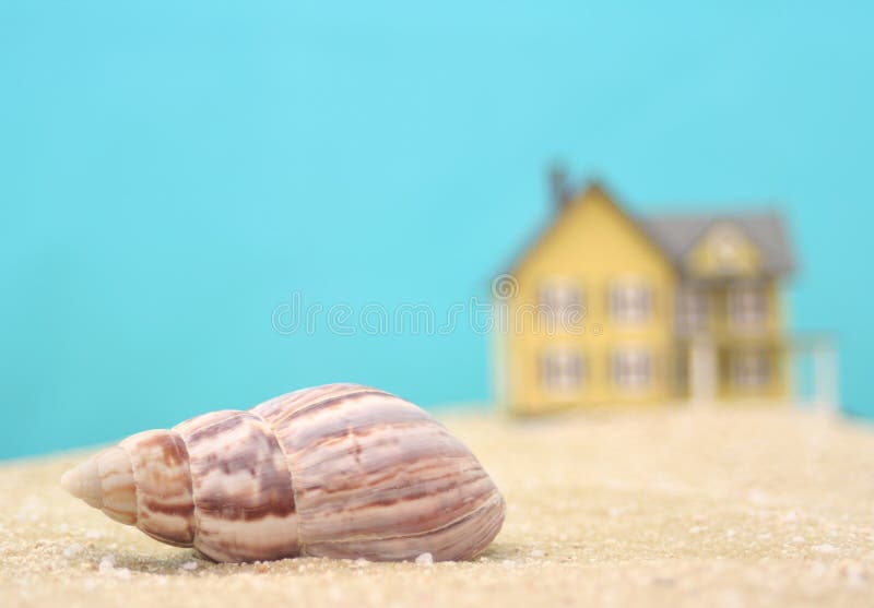 Sea Shell and Beach House stock photo. Image of summer - 2934208