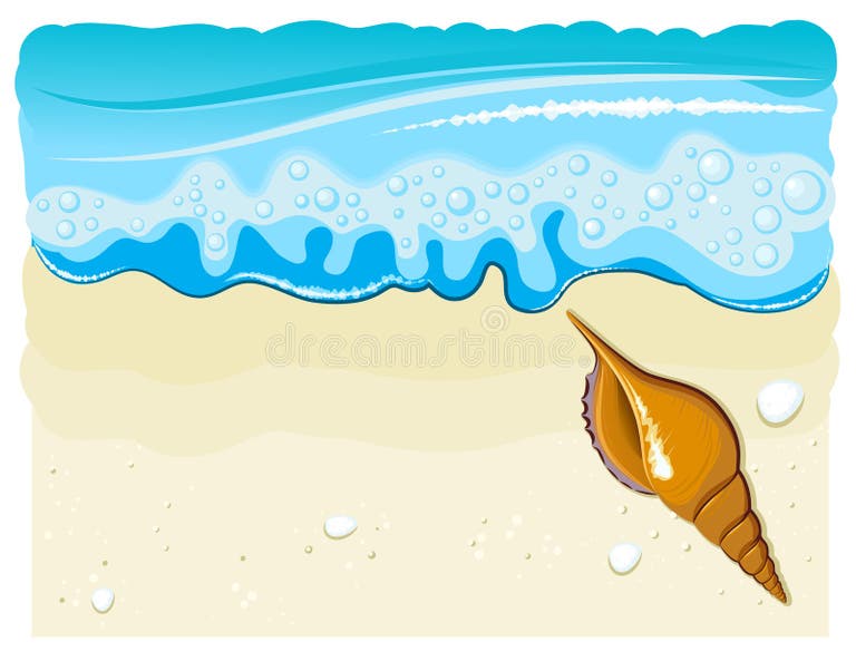 Cone Shell Stock Illustrations – 2,010 Cone Shell Stock Illustrations ...