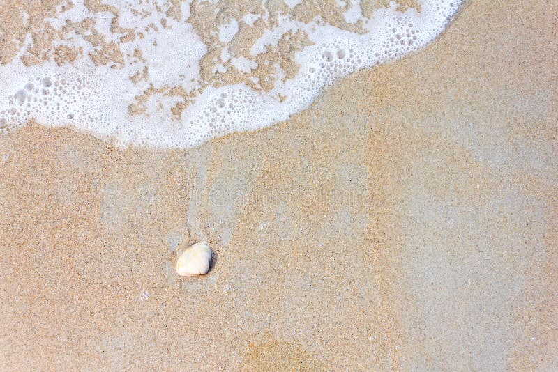 A sea shell on beach stock image. Image of sand, travel - 36710105