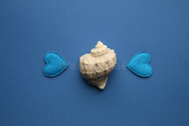 Sea Shell on a Blue Background Stock Image - Image of copy, brown ...