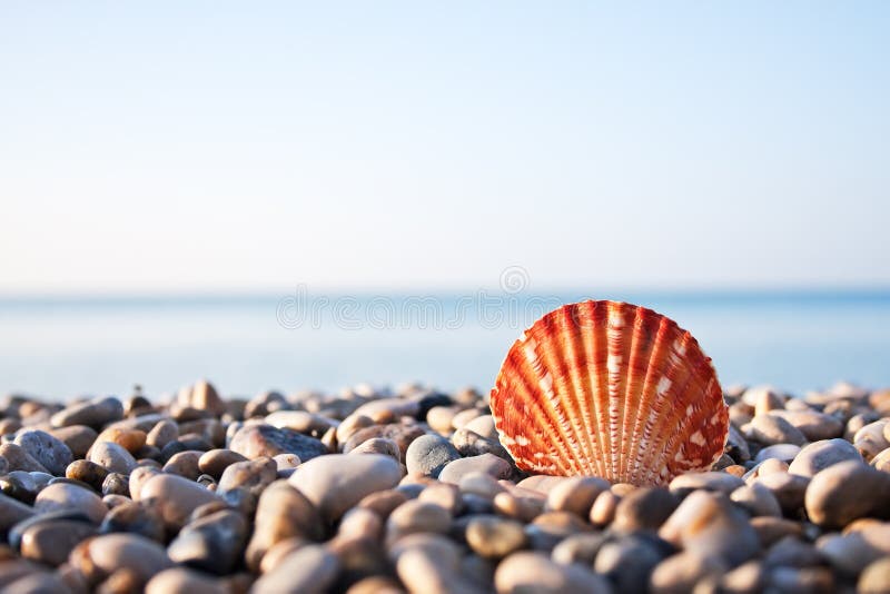 Sea Shell and Blue Sky on Background Stock Image - Image of rock ...