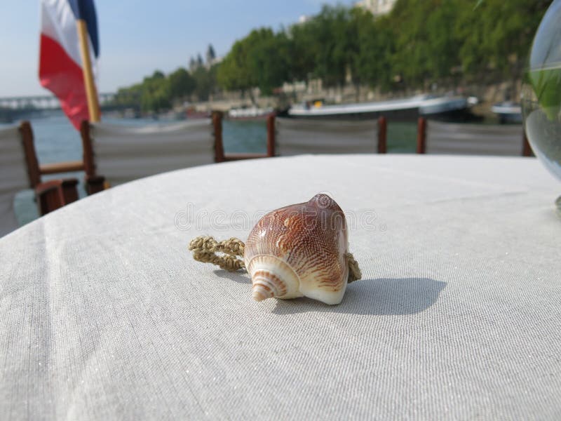 Sea shell on a boat stock photo. Image of seine, flag - 57533546