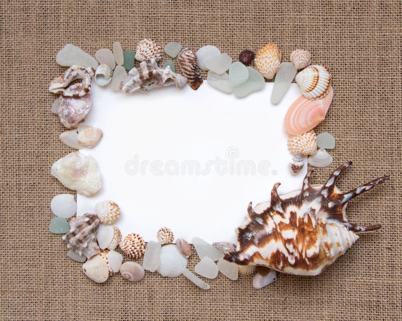 Sea shell border stock photo. Image of spiral, spiky, shell - 1455466