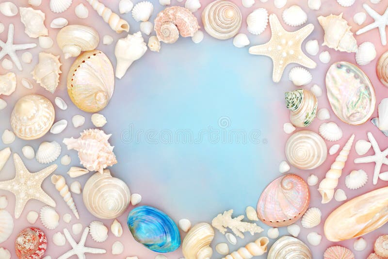 Seashell Border on Rainbow Sky Cloud Background Stock Photo - Image of ...
