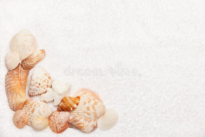 Sea Shell Border on White Fluffy Towel Stock Photo - Image of border ...