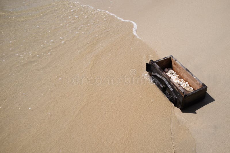 Sea Shell in a box stock photo. Image of morning, background - 51169696