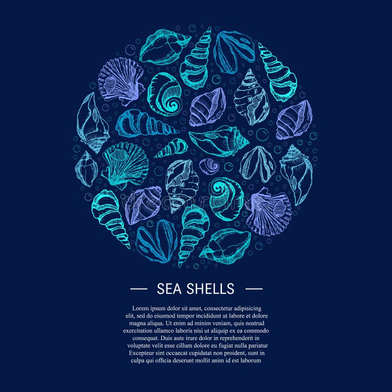Shell Circle Stock Illustrations – 10,372 Shell Circle Stock ...