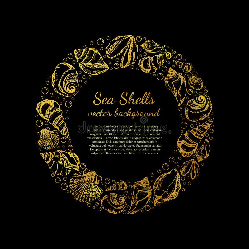 Sea shell circle stock vector. Illustration of gold, beach - 89511495