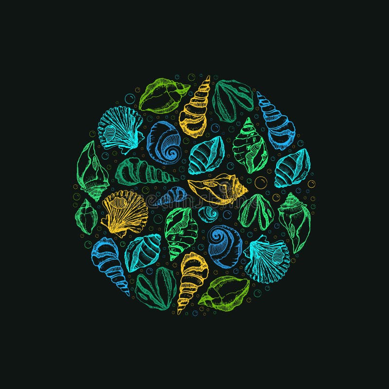 Sea shell circle stock vector. Illustration of marine - 88842773