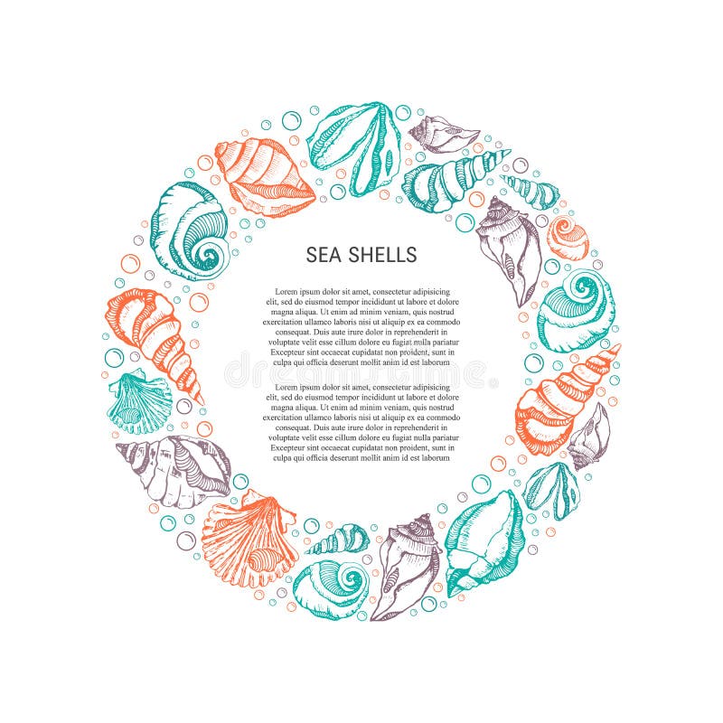 Sea shell circle stock vector. Illustration of seashell - 89511594