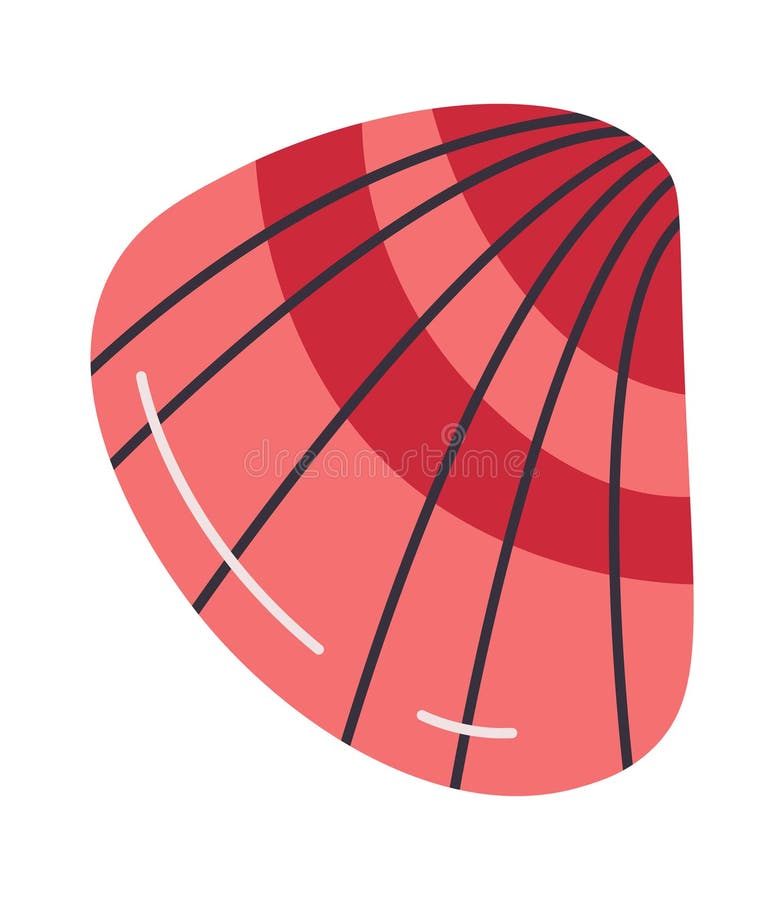 Sea Shell stock vector. Illustration of tropical, exotic - 273074246