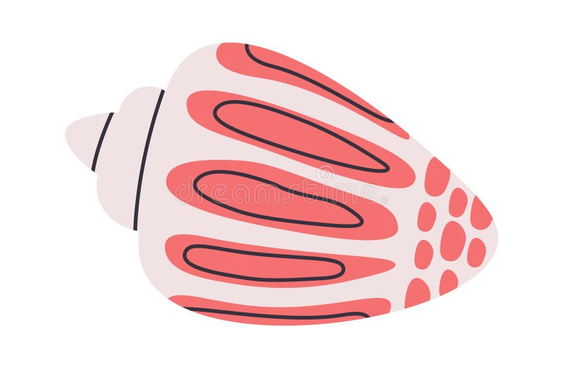 Sea Shell Mollusk stock vector. Illustration of seashell - 277933538