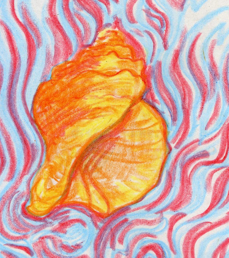 Sea shell sketch stock illustration. Illustration of close - 44316394