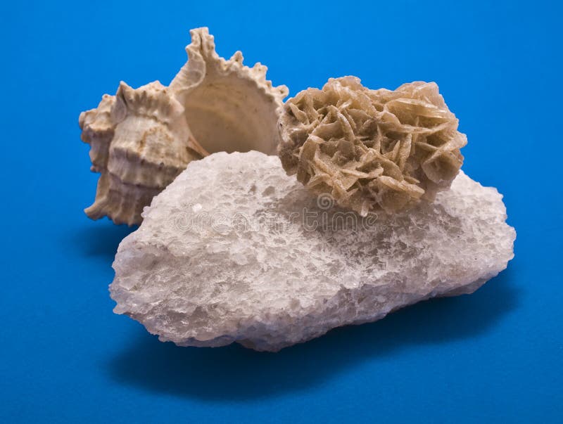 Sea Shell on the Crystal Stone Textured Background Wallpaper, Stock ...