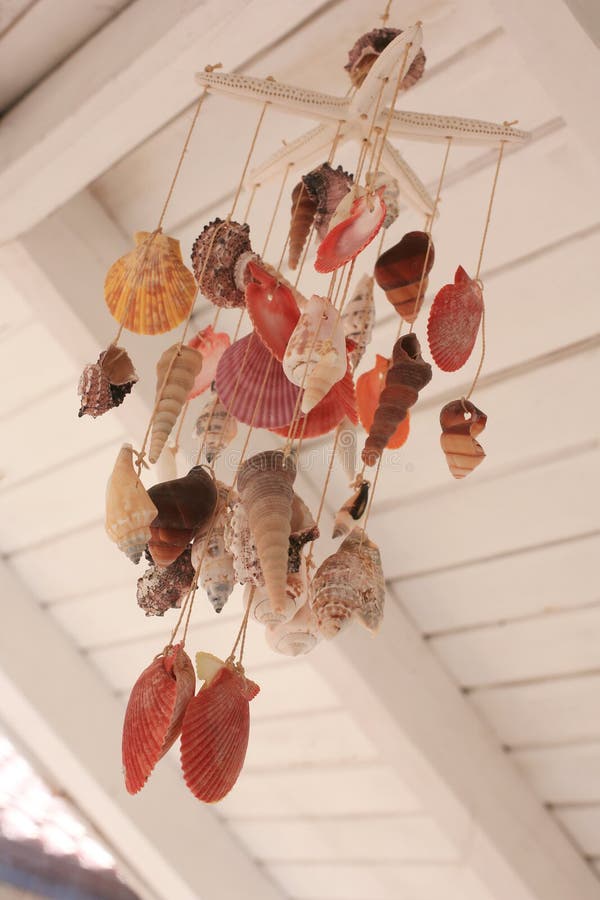 Sea shell decor stock image. Image of hang, summer, hand - 32674625
