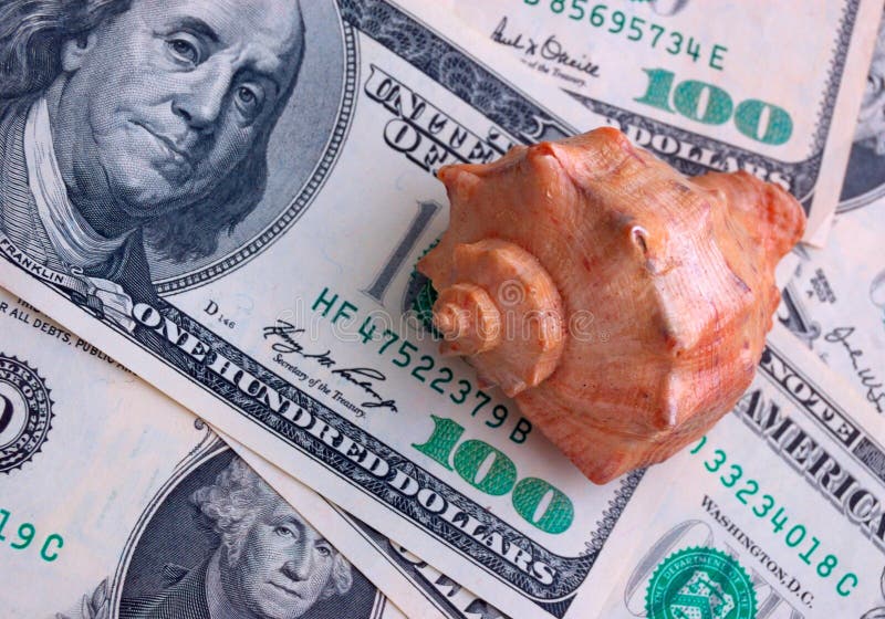 Sea shell on dollar bills stock photo. Image of green - 5931068
