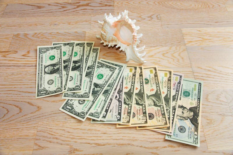 Sea shell on dollar bills stock image. Image of travel - 39833885